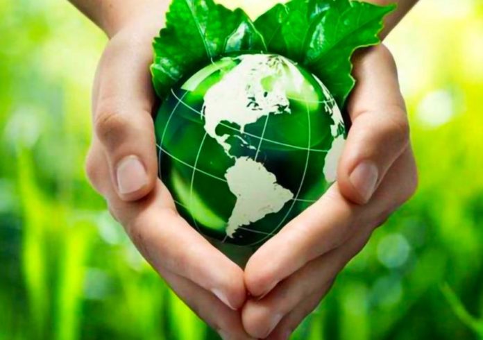 Care of our Common Home | english Care of our Common Home | english